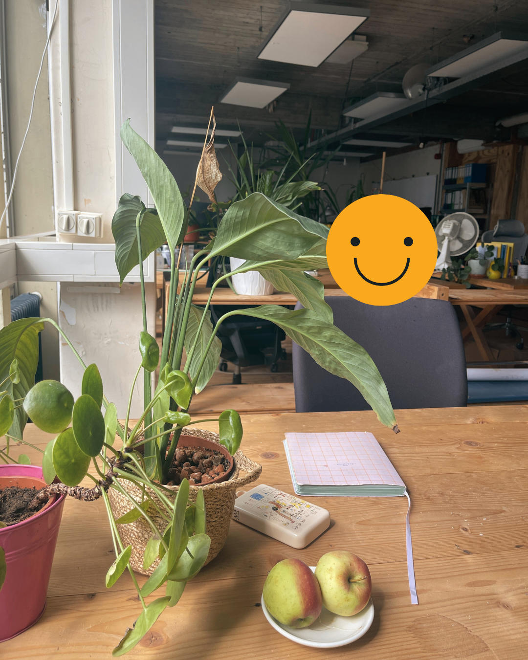 Het Rotterdam Collectief – coworking collective in Rotterdam